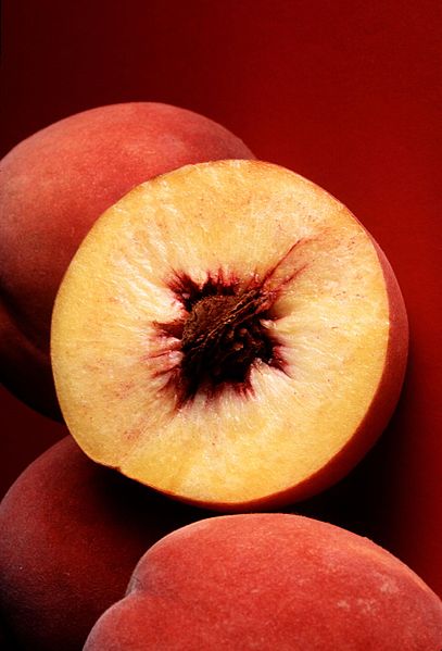 Peach Genome Dissected to Provide Insights into Ecological Influences ...